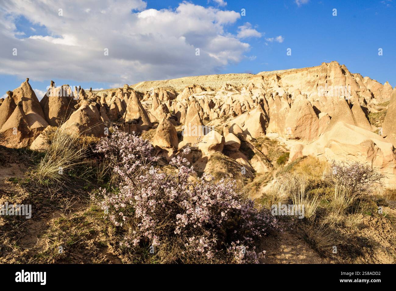 Volcanic tuff fairy chimneys, Devrent Valley, Cappadocia, central ...