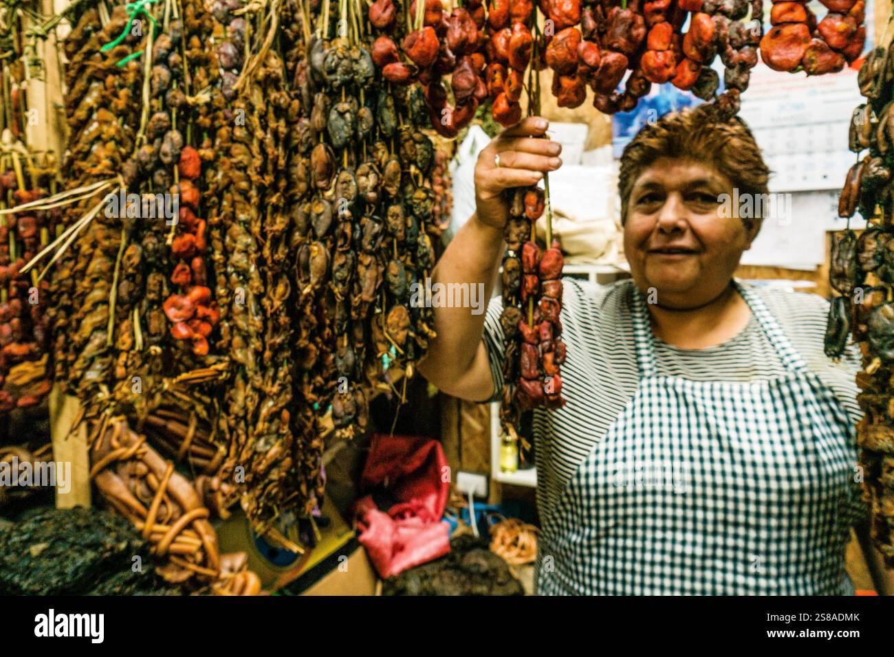 market, Castro village, Chiloé archipelago, Chiloé province, Los Lagos ...
