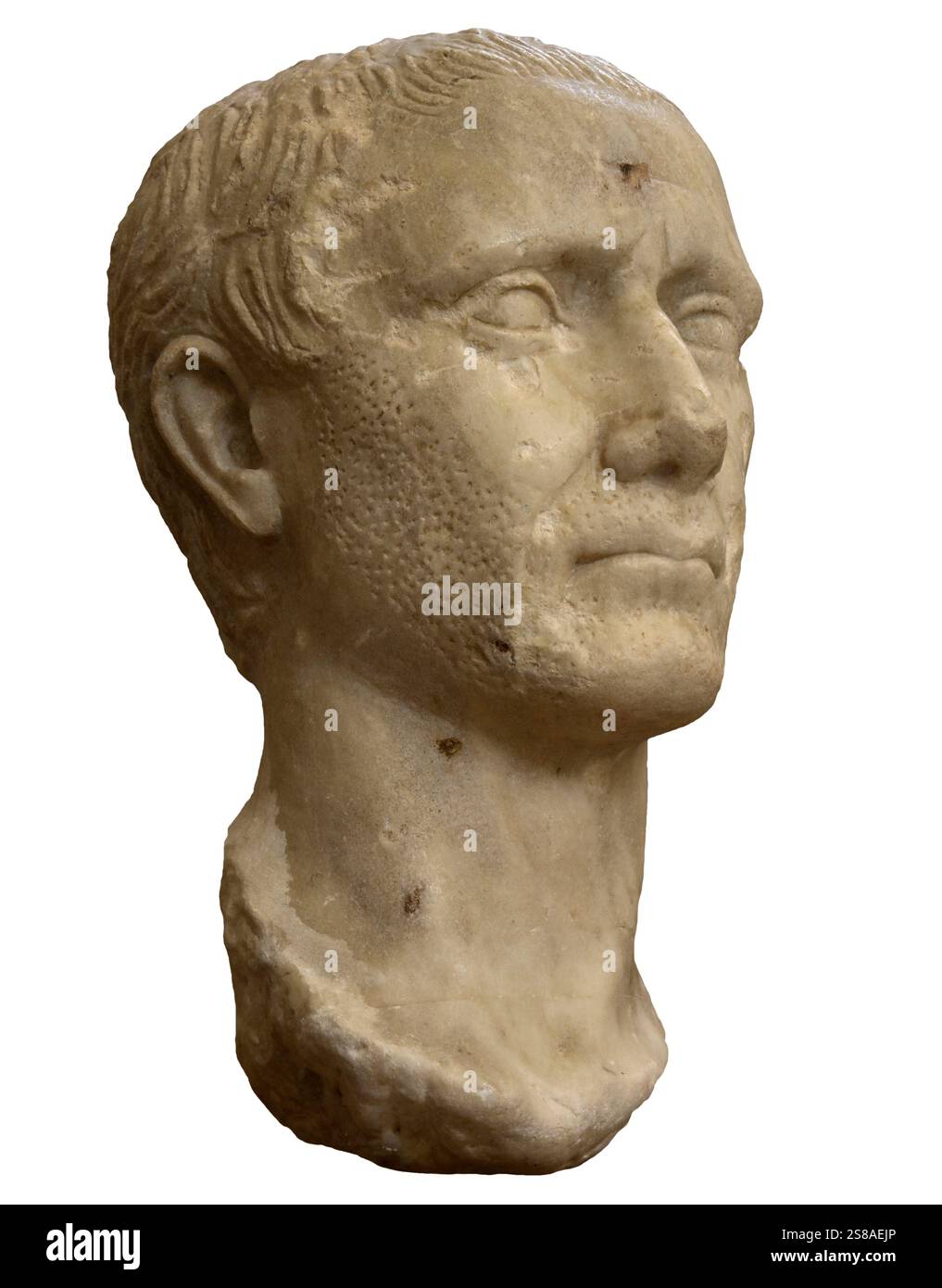 Julius Caesar was a renowned general, politician and scholar in ancient ...