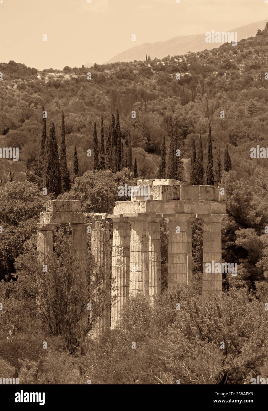 Temple of Zeus, Nemea. Like Ancient Olympia, Nemea was not a city but a ...
