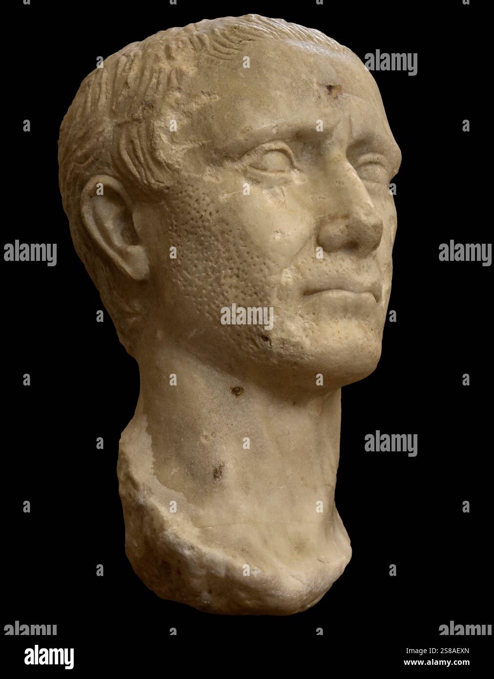 Julius Caesar was a renowned general, politician and scholar in ancient ...