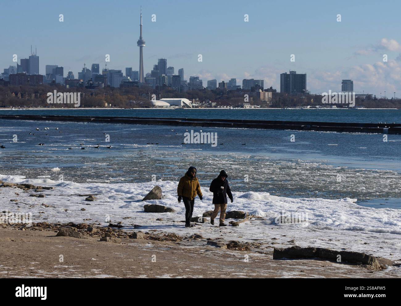 Toronto, Canada. 21st Jan, 2025. People brave the cold as they walk ...