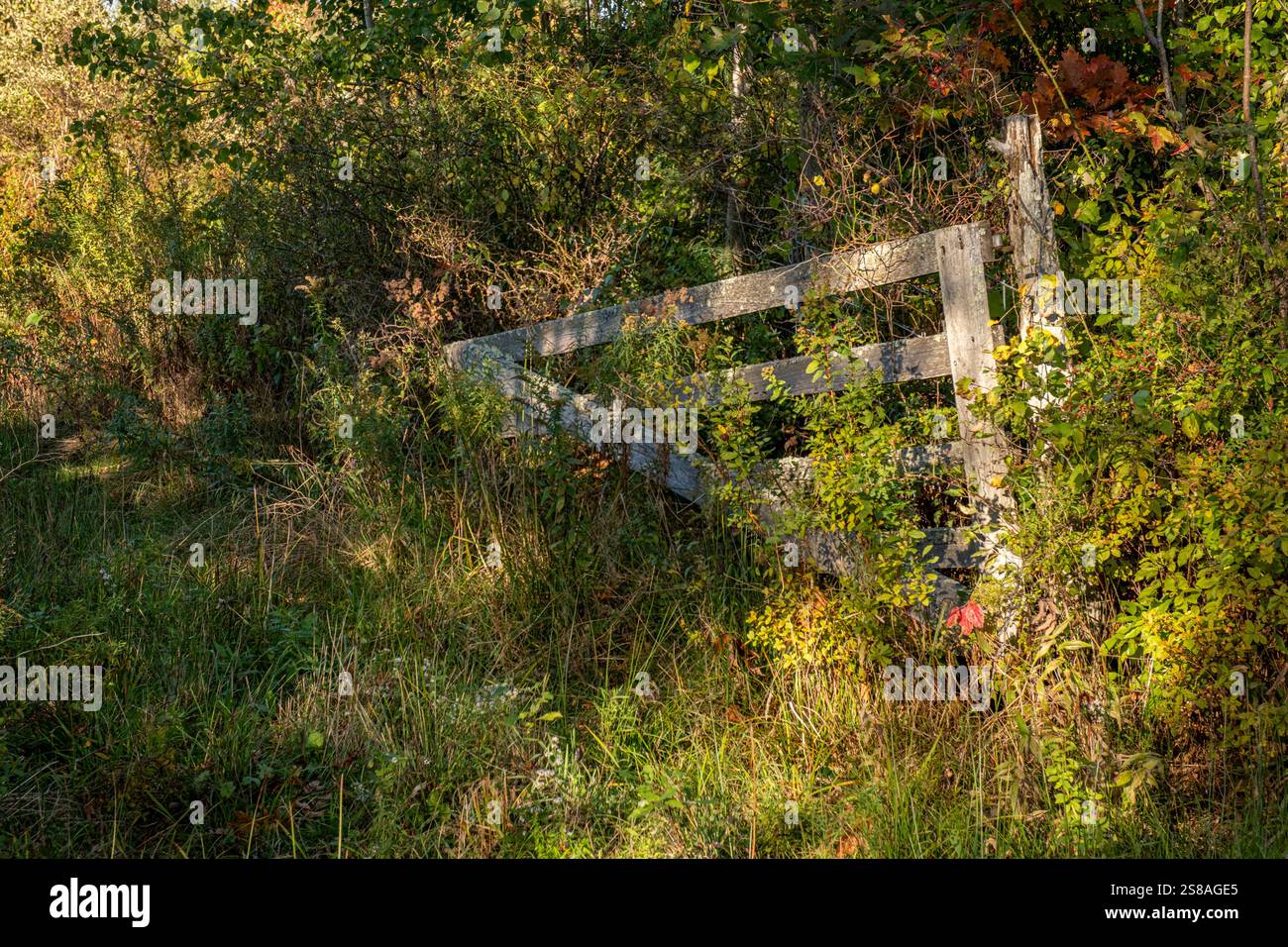 An old farm gate in a small rural New England Stock Photo - Alamy