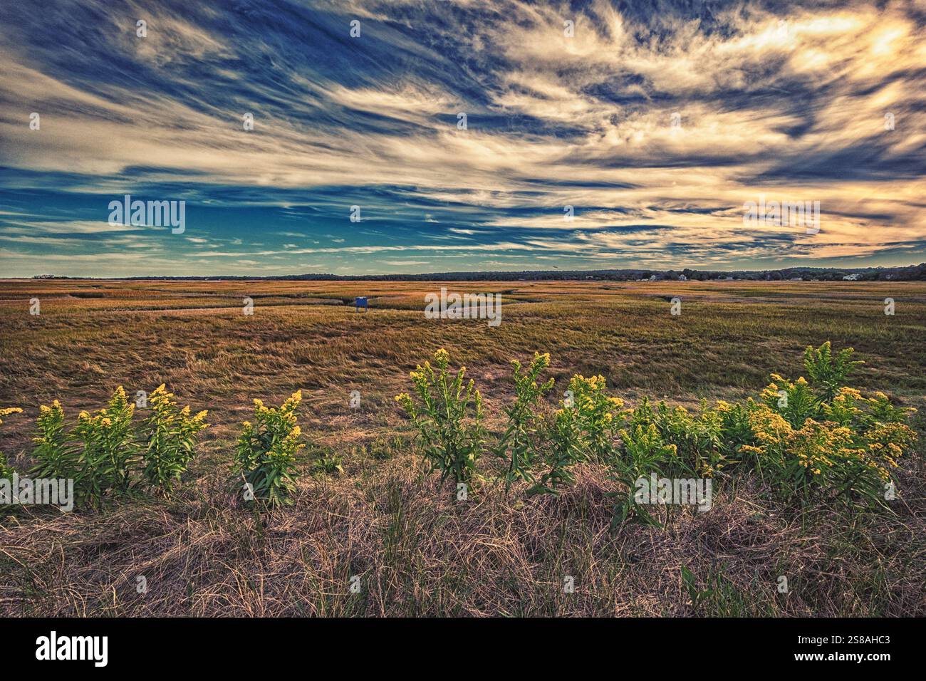 Cape cod massachusetts usa sand hi-res stock photography and images - Alamy