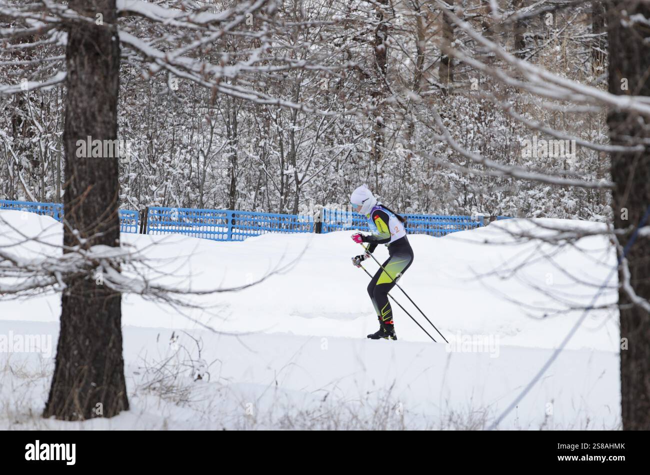 Pragelato, Italy. 21st Jan, 2025. Zou Jing of China competes during the ...