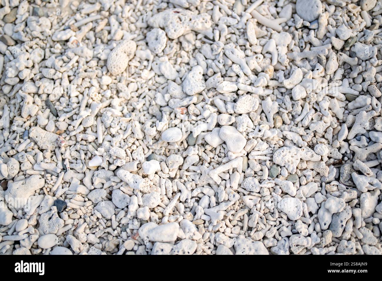 Empty seaside in spring at Aka Island, Zamami Village, Okinawa ...
