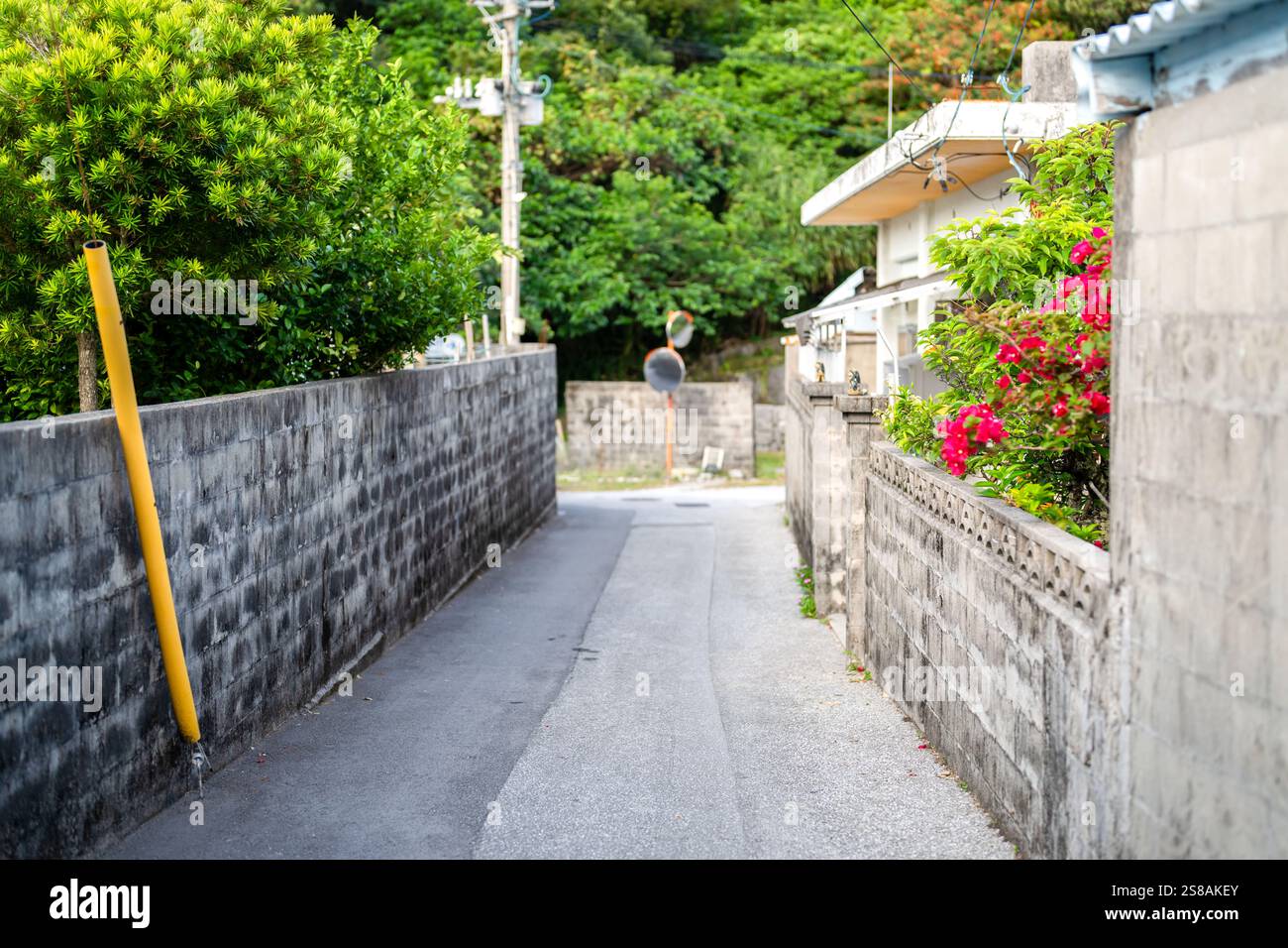 Empty seaside in spring at Aka Island, Zamami Village, Okinawa ...