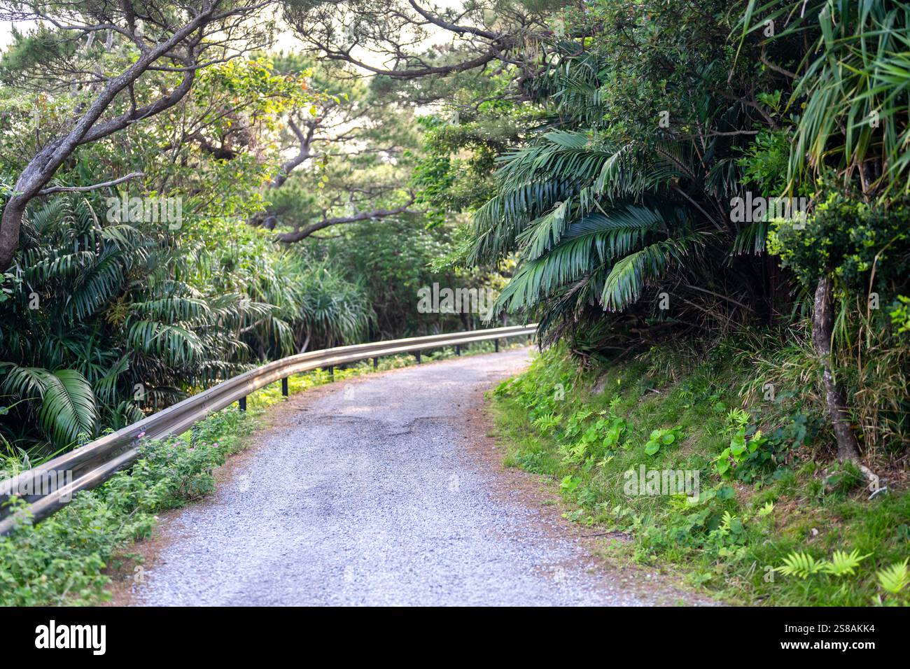Empty sea and mountain road in spring at Aka Island, Zamami Village ...