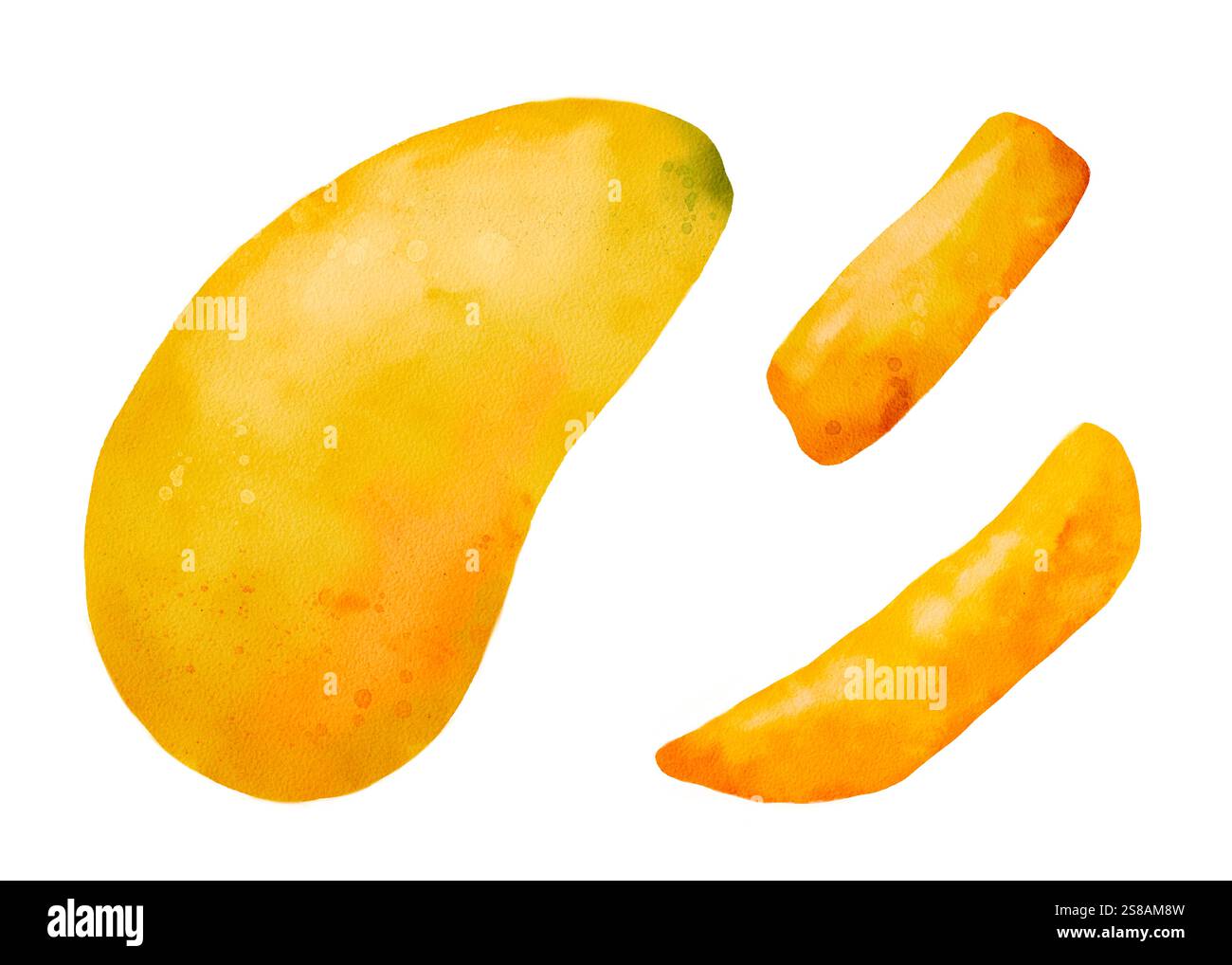 A stunning and vibrant watercolor illustration that showcases mango ...