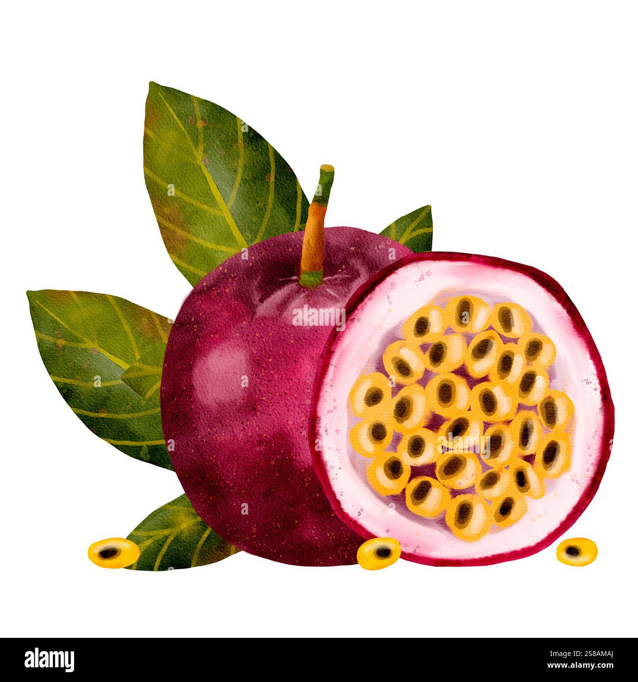 Vibrant depiction of leaves Cut Out Stock Images & Pictures - Alamy