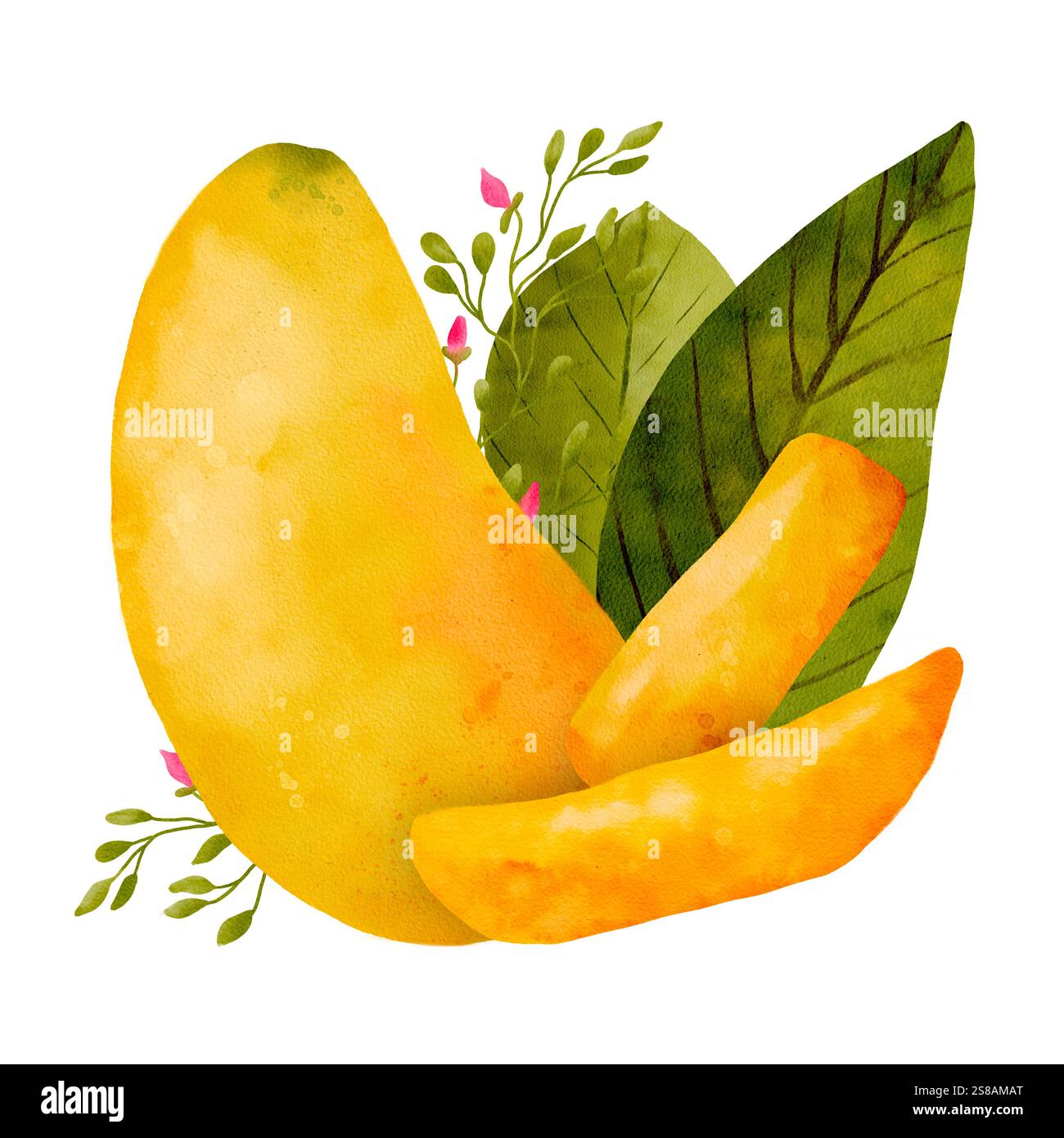 A vibrant watercolor illustration depicting ripe mangoes beautifully ...