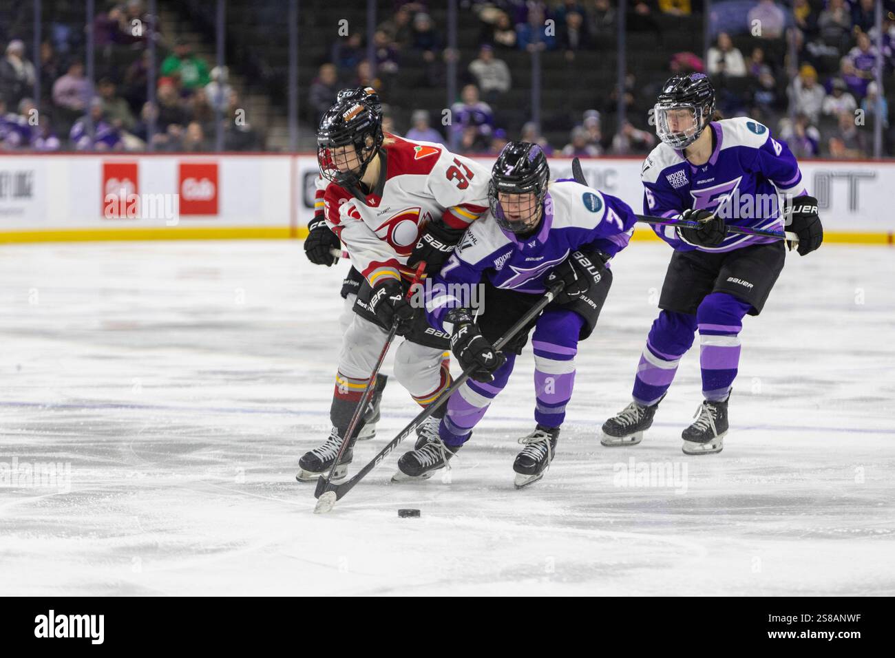 Butorac hi-res stock photography and images - Alamy