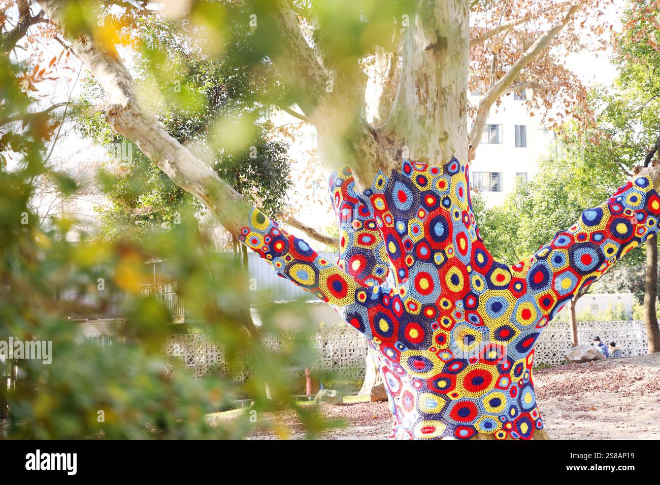 An ancient sycamore tree at Zhongshan Park is put on brightly colored ...