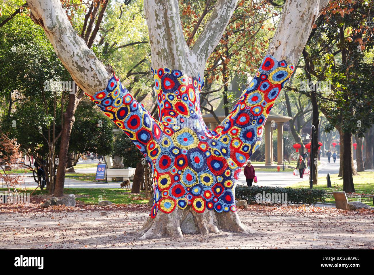 An ancient sycamore tree at Zhongshan Park is put on brightly colored ...