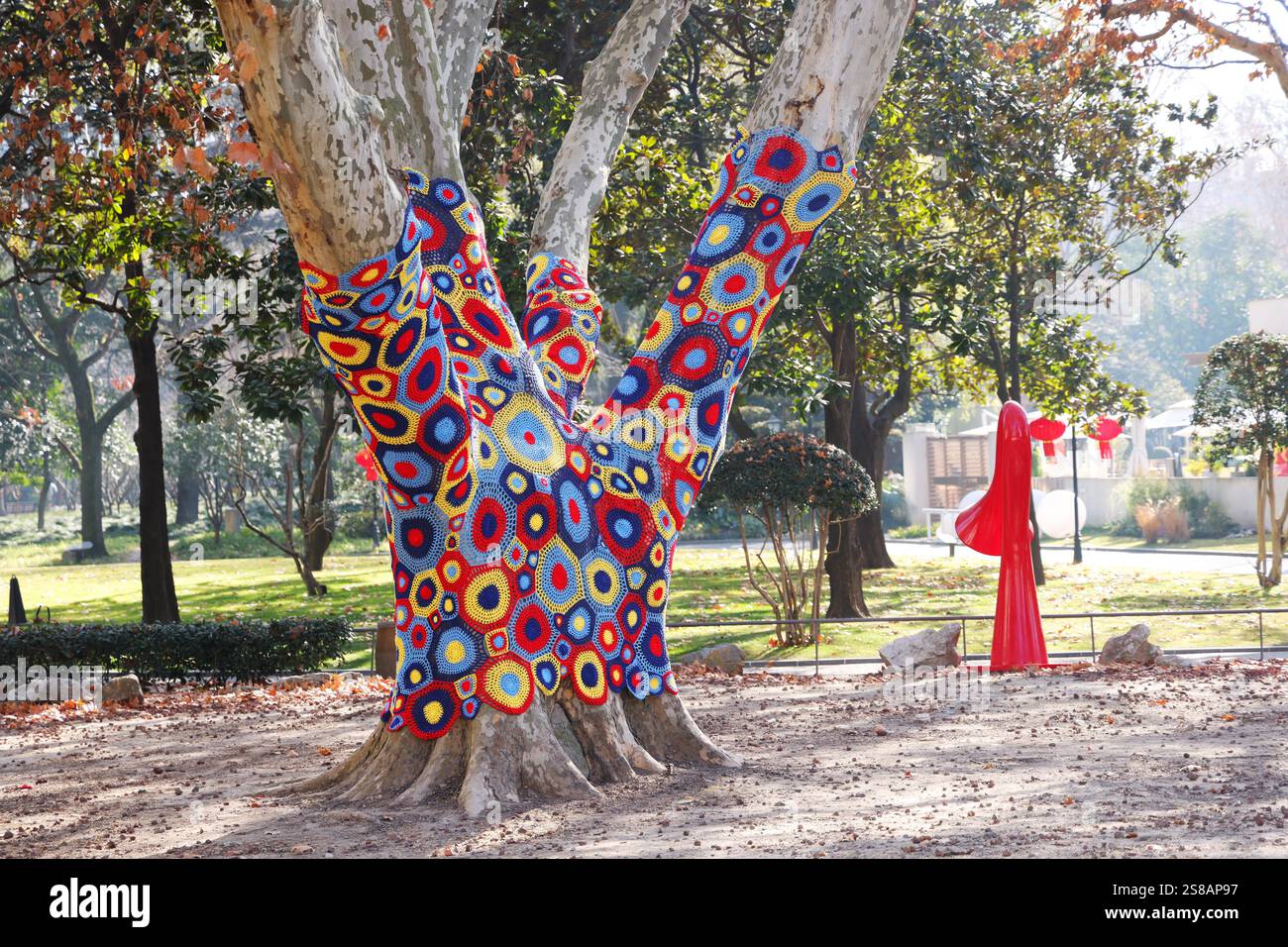 An ancient sycamore tree at Zhongshan Park is put on brightly colored ...