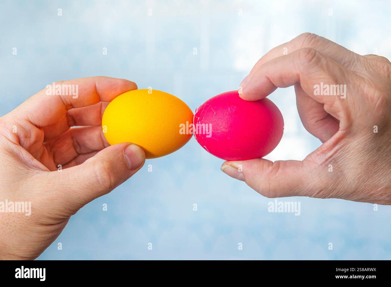 Easter tradition of cracking eggs, two hands hold eggs and try to break ...