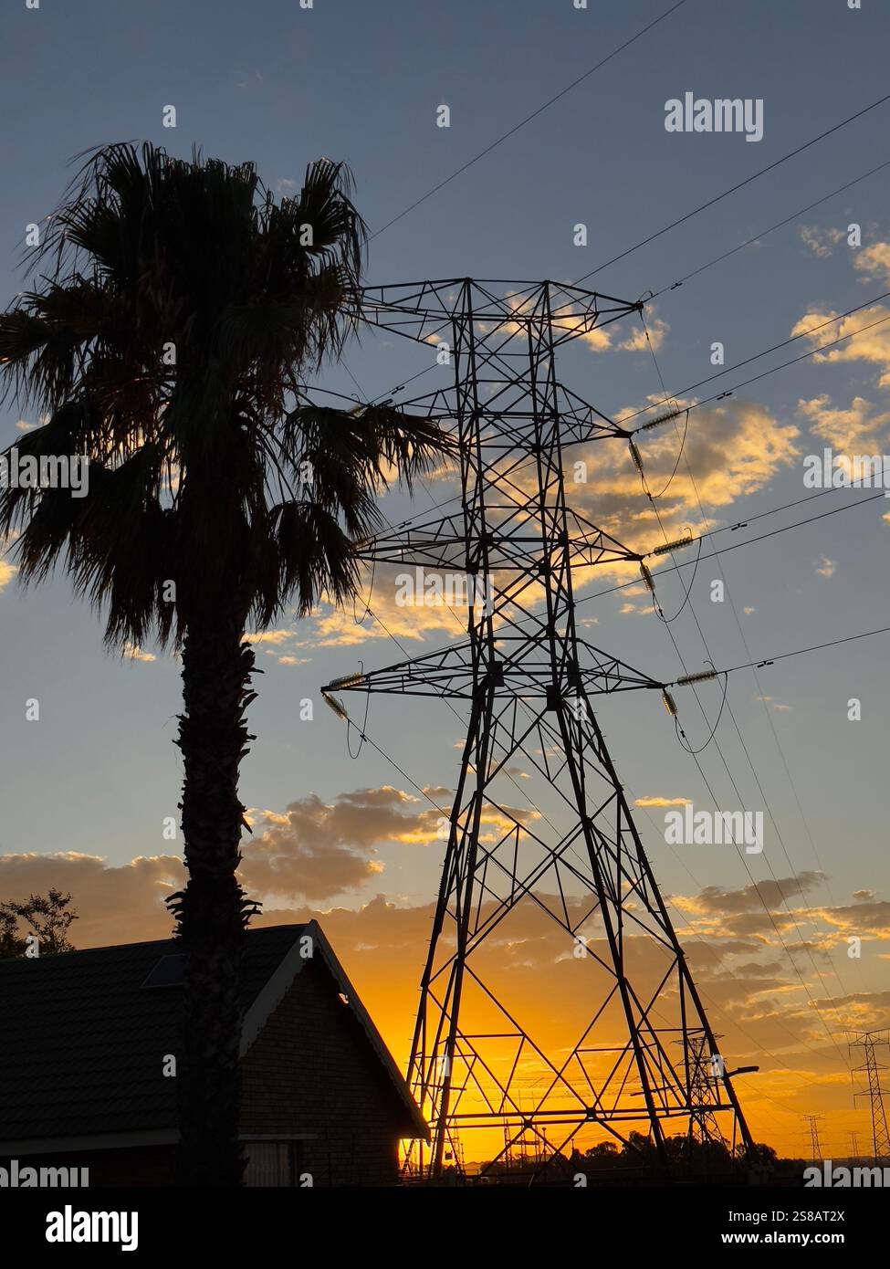 Silhouette of a tall electrical transmission tower and palm tree ...