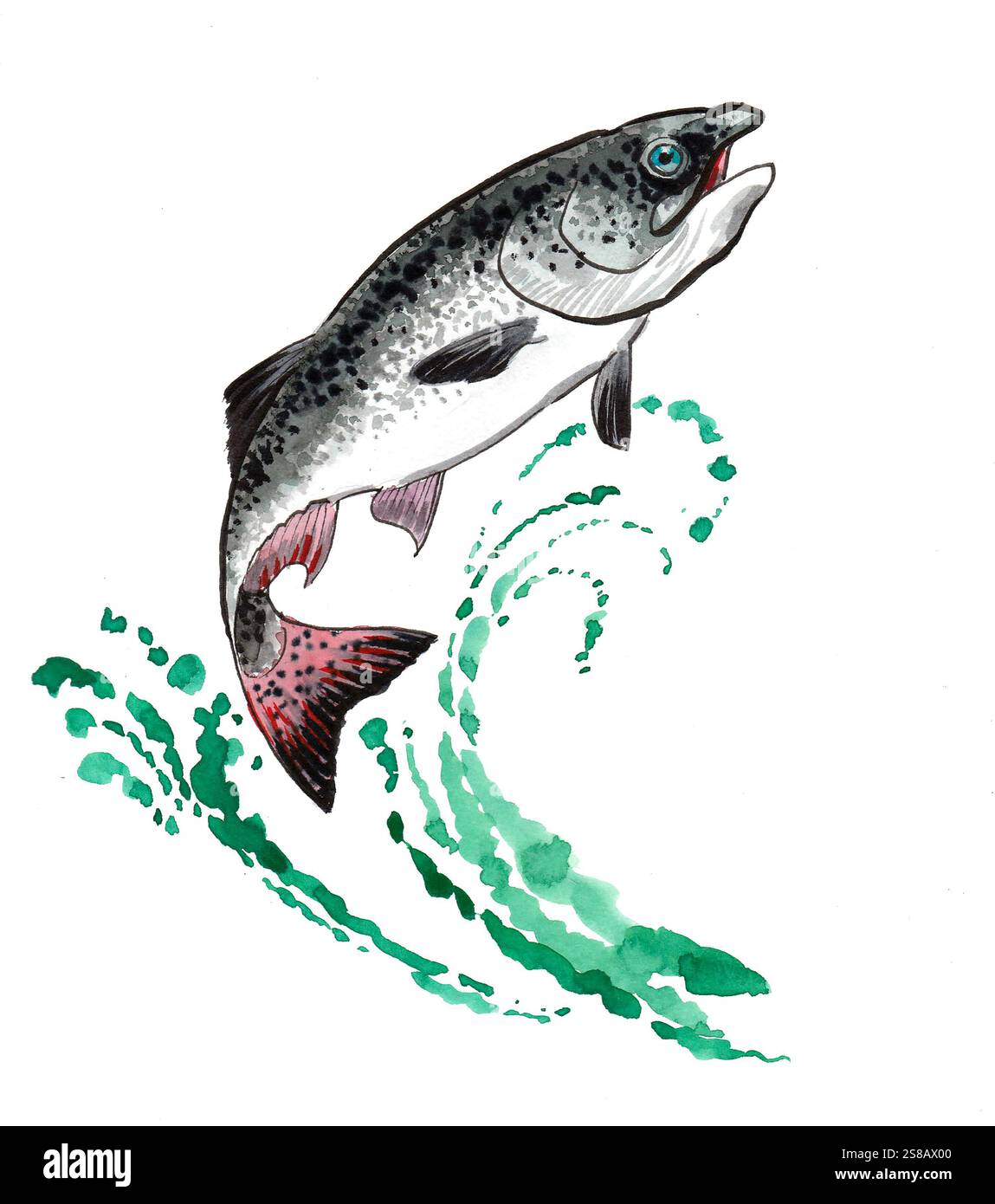 Leaping salmon fish. Hand drawn watercolour painting Stock Photo - Alamy