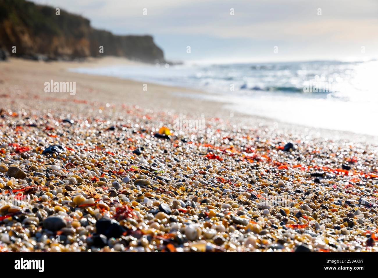 Pebbles on the beach, Mitchell Rocks, Otago Region, New Zealand Stock ...