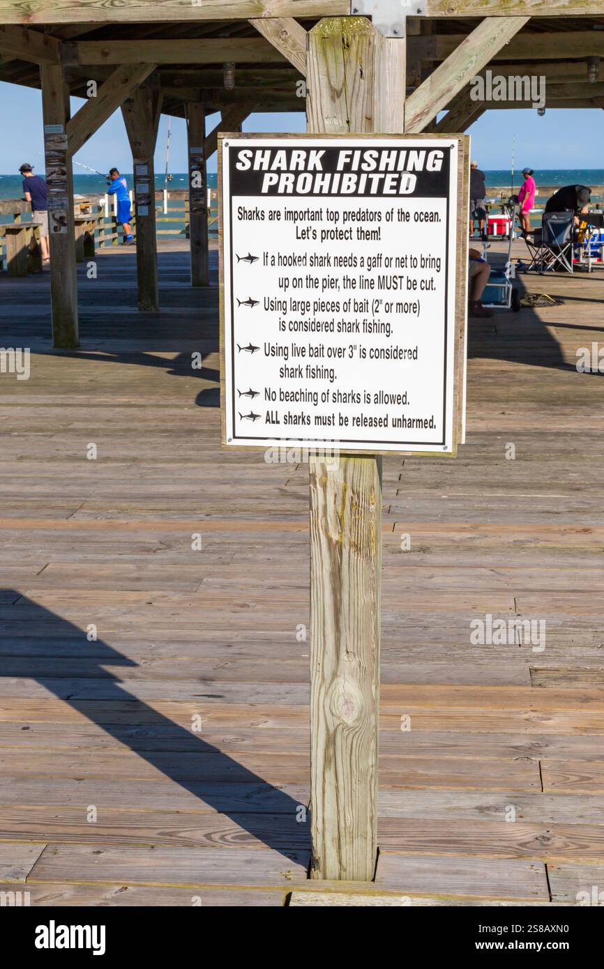 A sign warning that shark fishing is prohibited from the Myrtle Beach ...
