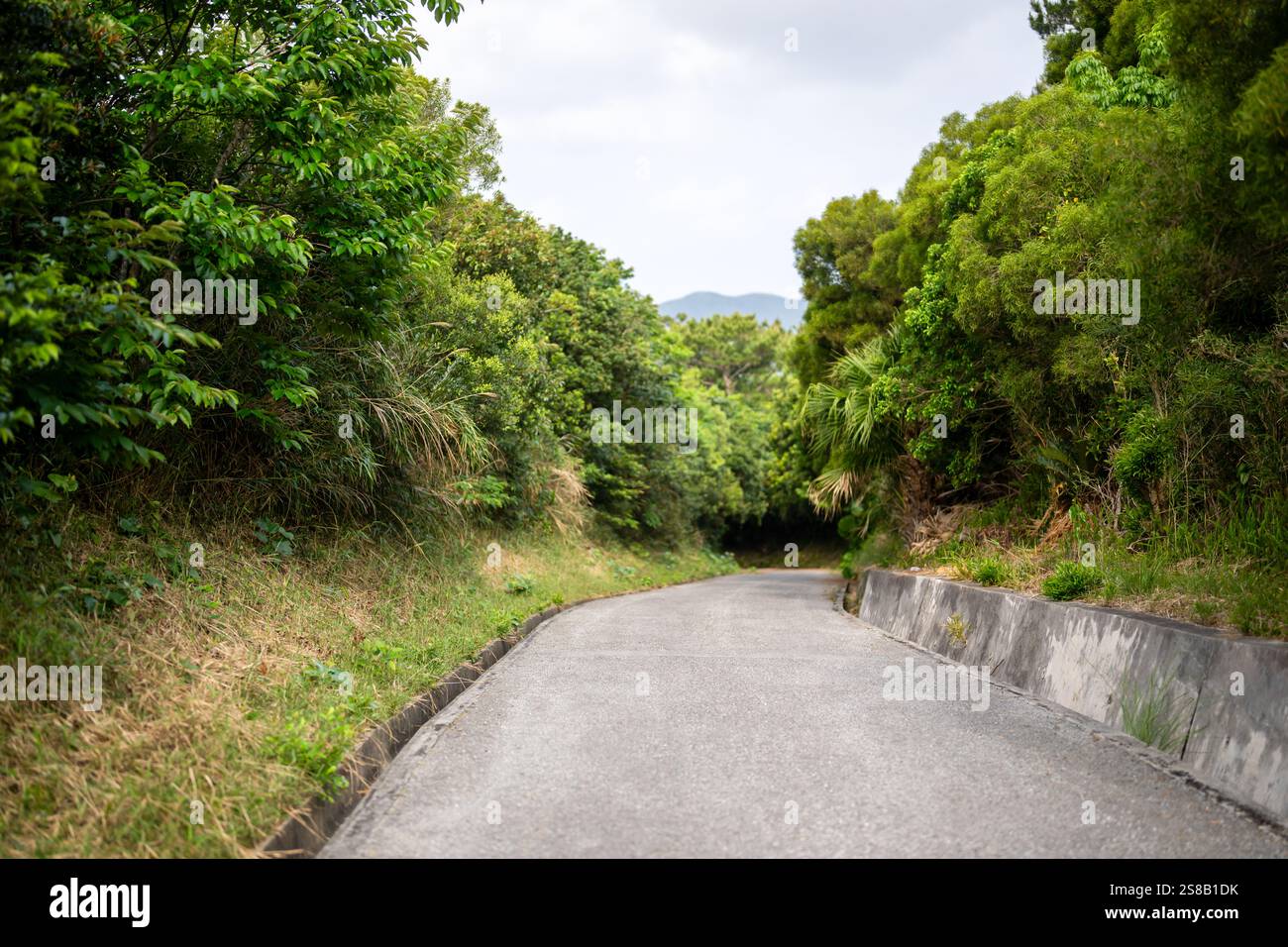 Empty sea and mountain road in spring at Aka Island, Zamami Village ...
