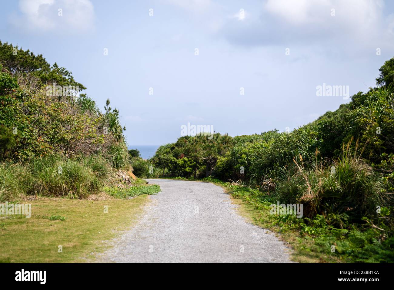 Empty sea and mountain road in spring at Aka Island, Zamami Village ...