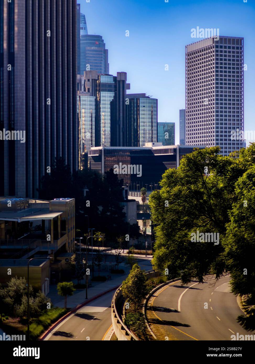 Downtown empty city streets with trees and landscape (portrait style ...