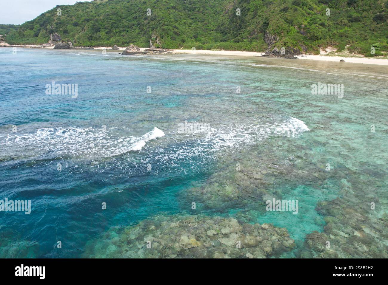 Photographing the spring seaside of Aka Island, Zamami Village, Okinawa ...