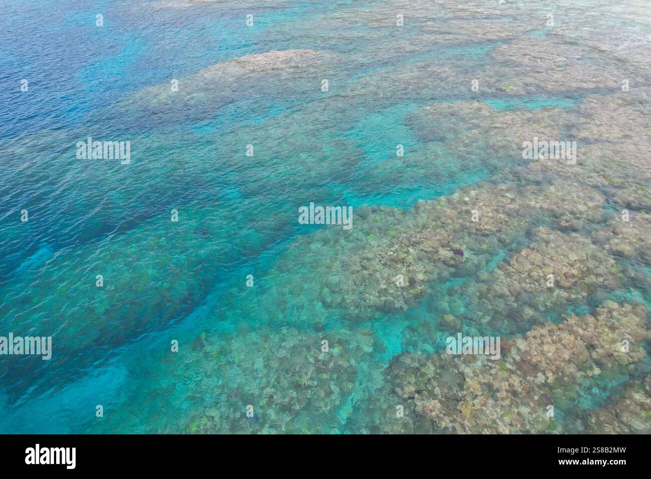 Photographing the spring seaside of Aka Island, Zamami Village, Okinawa ...