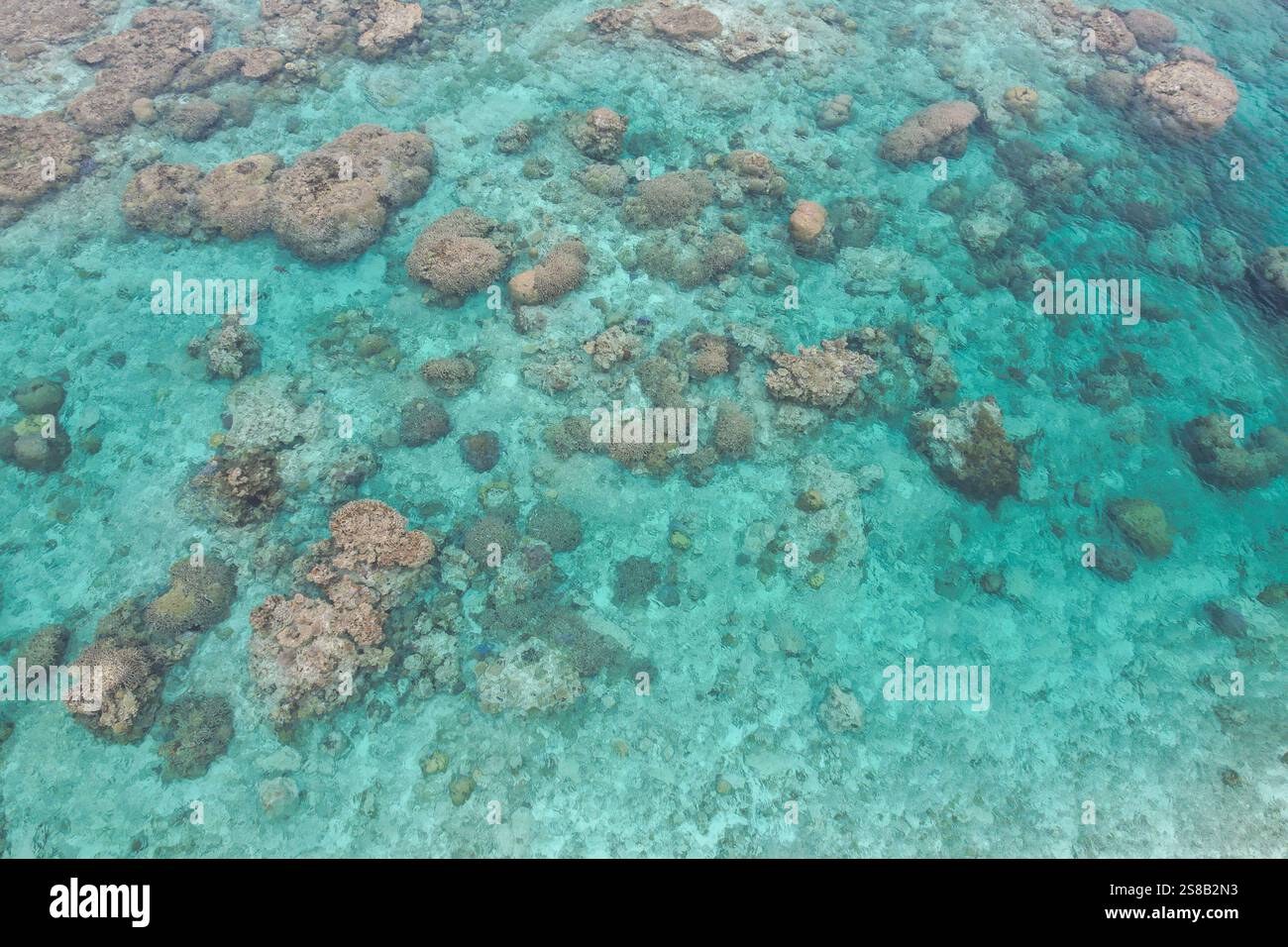 Photographing the spring seaside of Aka Island, Zamami Village, Okinawa ...