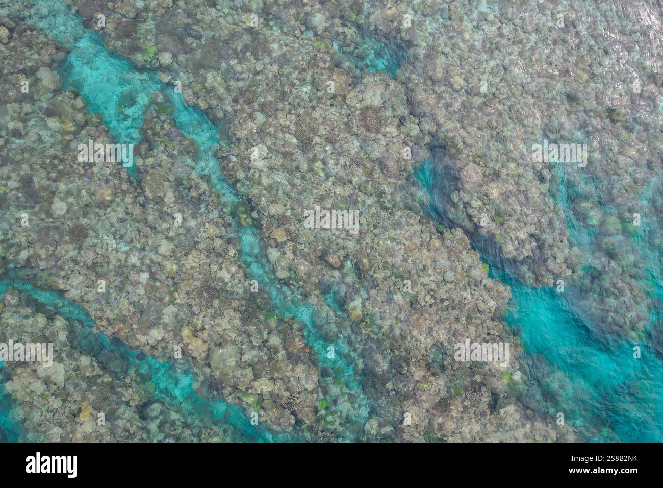 Photographing the spring seaside of Aka Island, Zamami Village, Okinawa ...