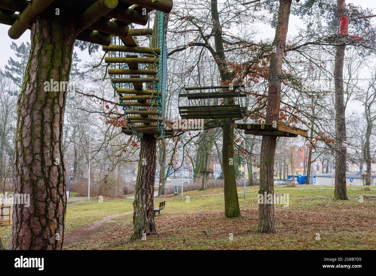 Trees of the rope park with platforms on trunks and hanging bridges ...