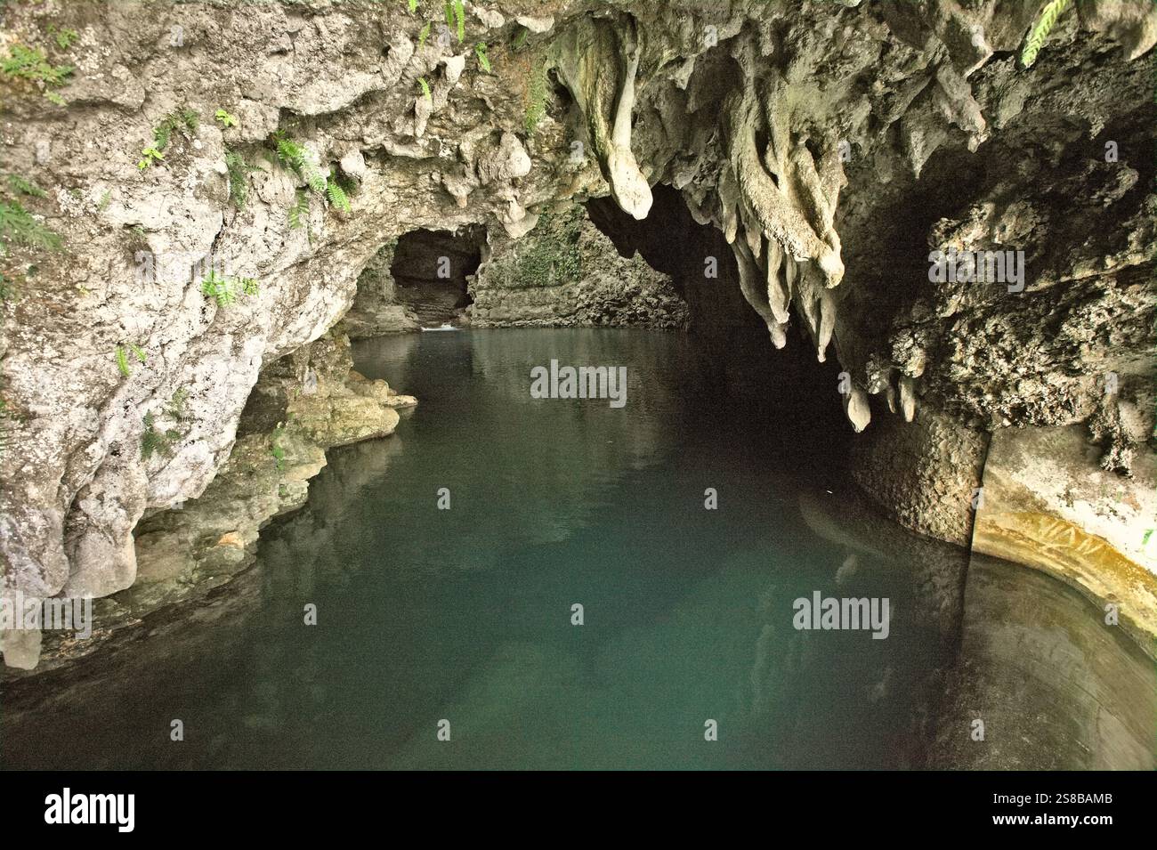 Limestone caves of Waikelo Sawah, a rare water source in Sumba—an ...