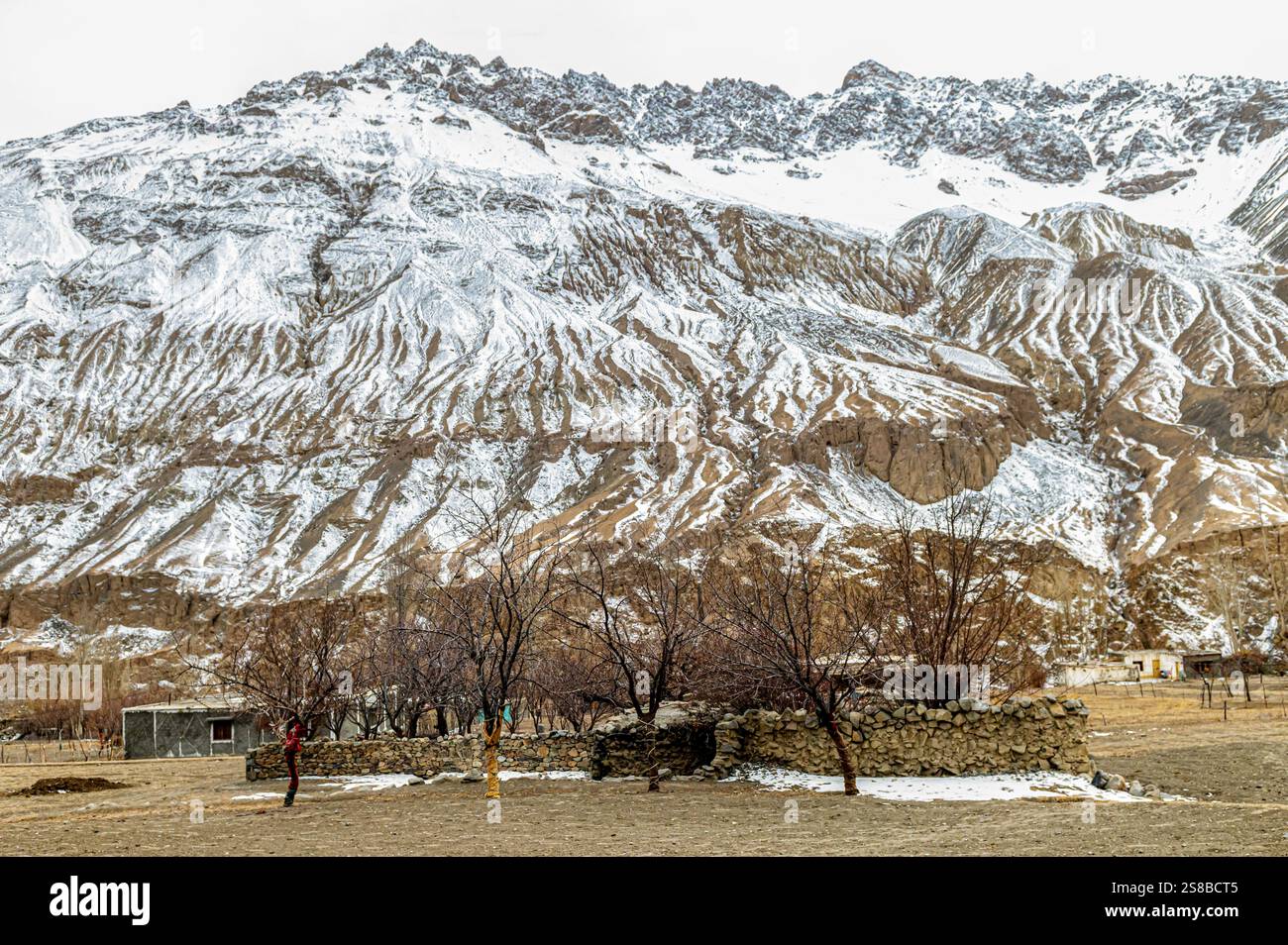 The Snowy Mountains of pakistan Stock Photo - Alamy