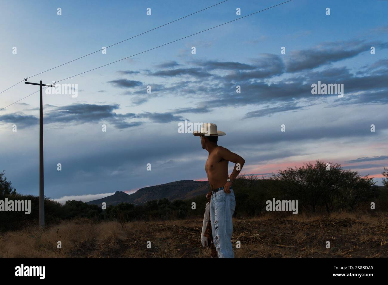 Vaquero Mexicano stands proudly in the fields at dusk while overseeing ...