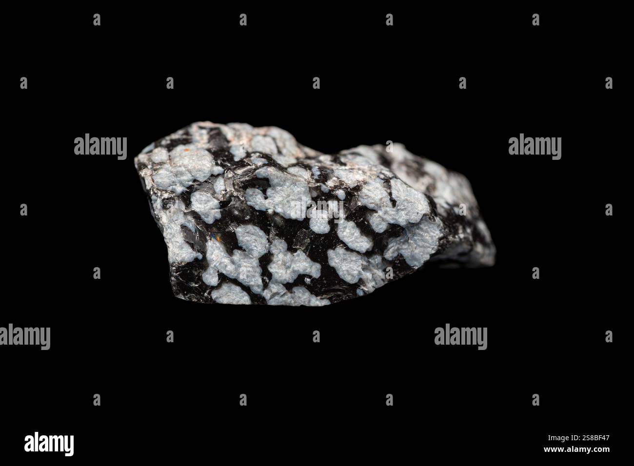 Closeup natural rough snowflake obsidian on dark background. A volcanic ...