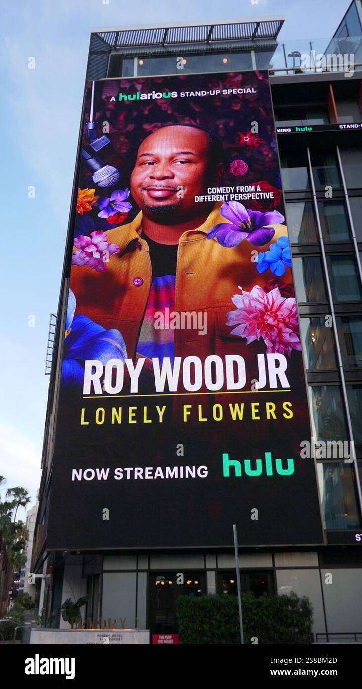 Los Angeles, California, USA 21st January 2025 Comedian Roy Wood Jr ...