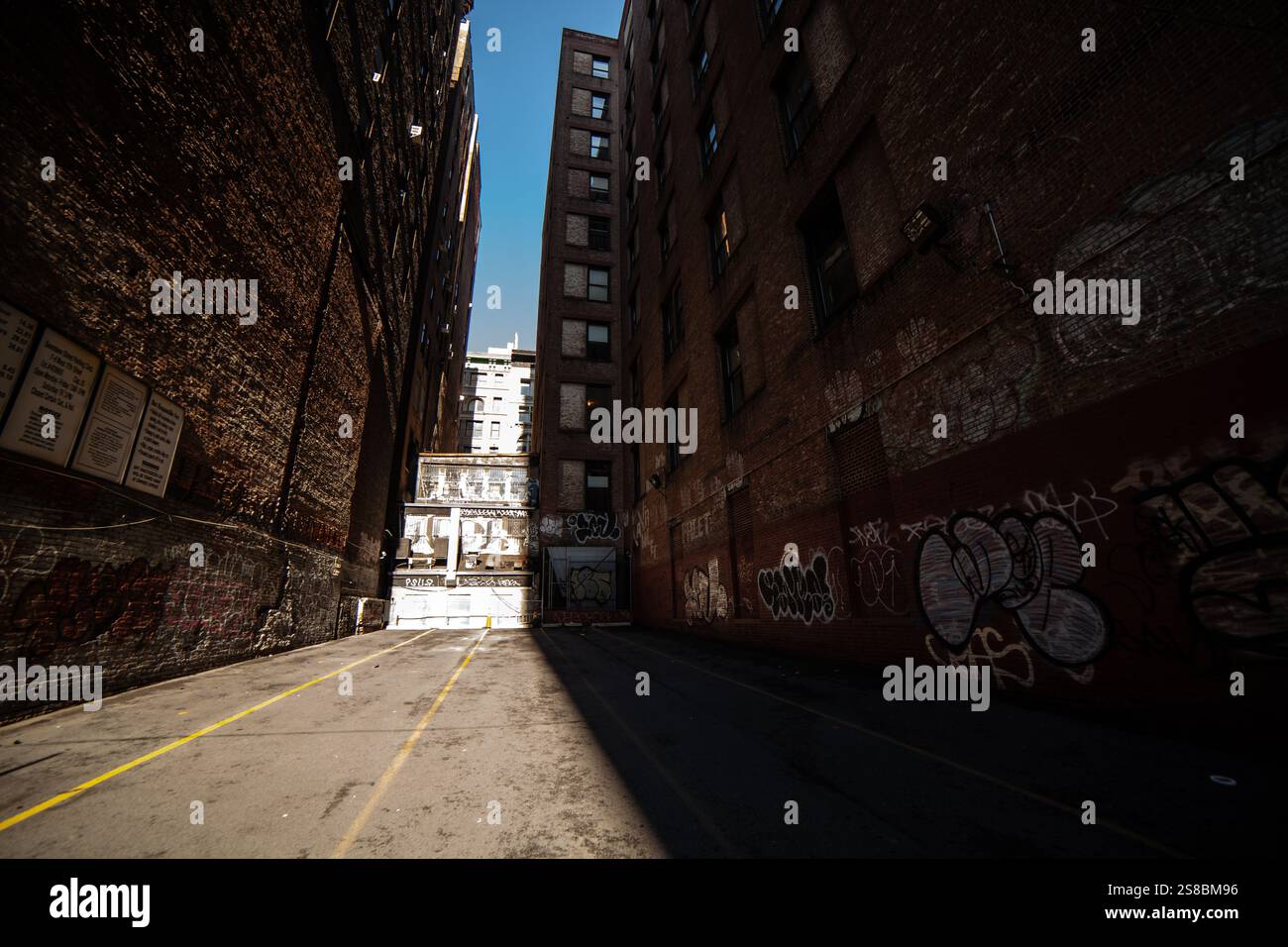 concreted backyard in new york with sunny and shadow parts and graffiti ...
