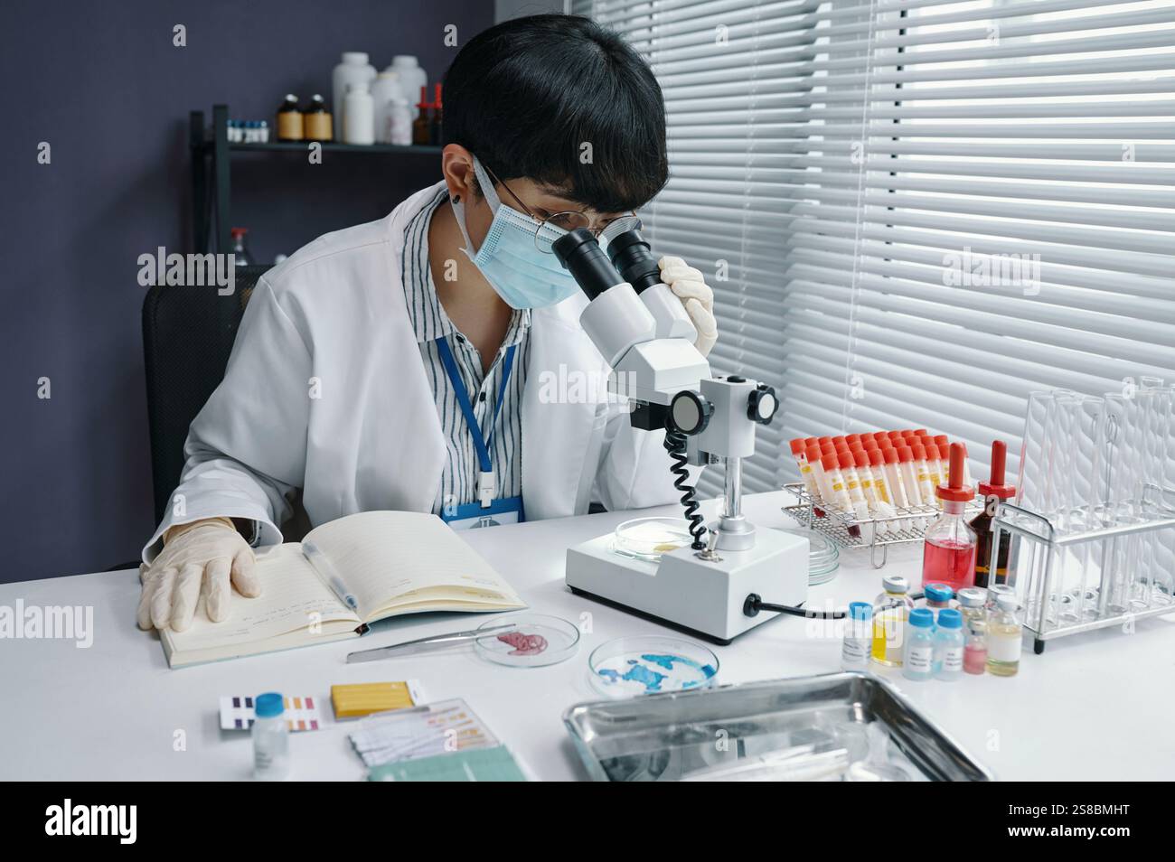 Scientist Analyzing Samples Under Microscope in Laboratory Stock Photo ...