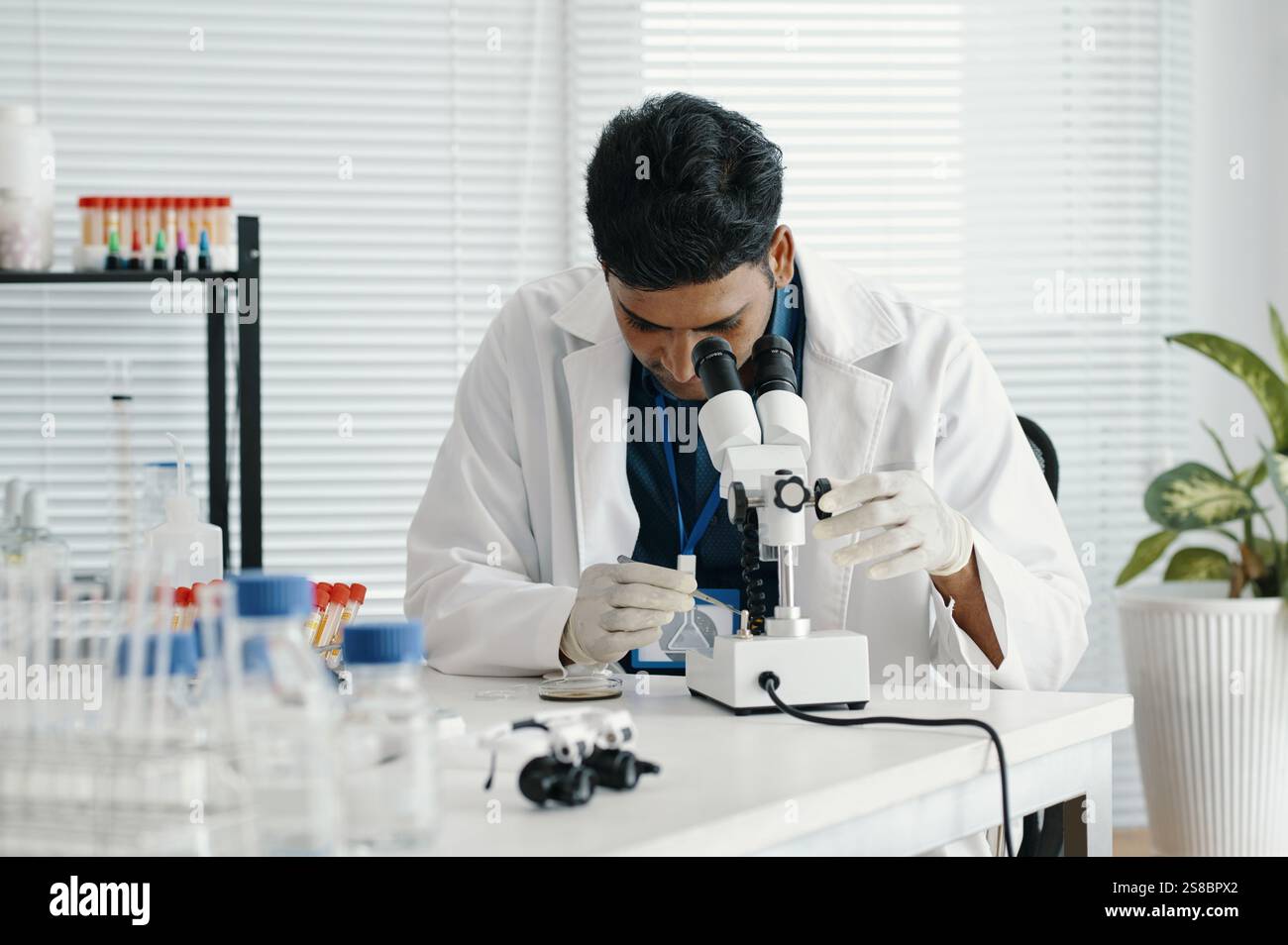 Scientist Analyzing Samples Using Microscope in Laboratory Stock Photo ...