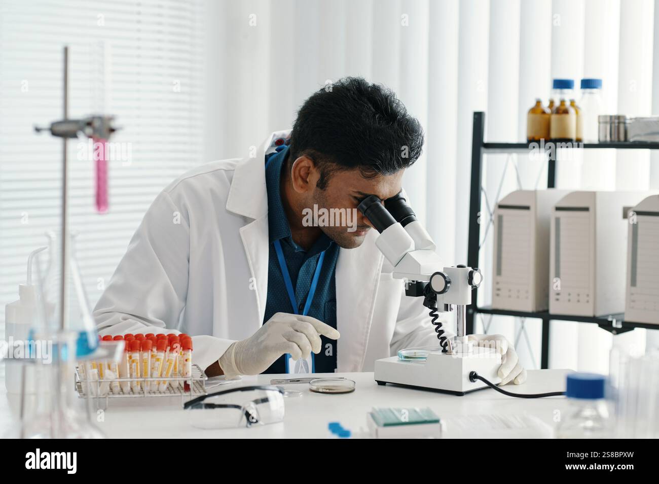 Scientist Examining Samples Using Laboratory Microscope Stock Photo - Alamy