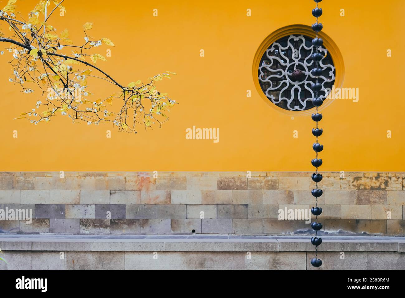 Wintersweet flowers bloom at a temple in Suzhou City, east China's ...