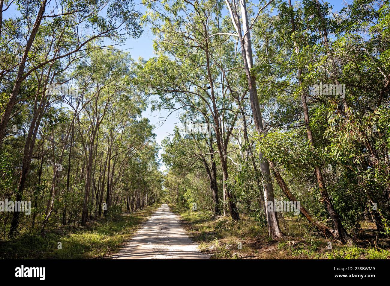 dirt track road through Australian bush countryside, rural remote ...