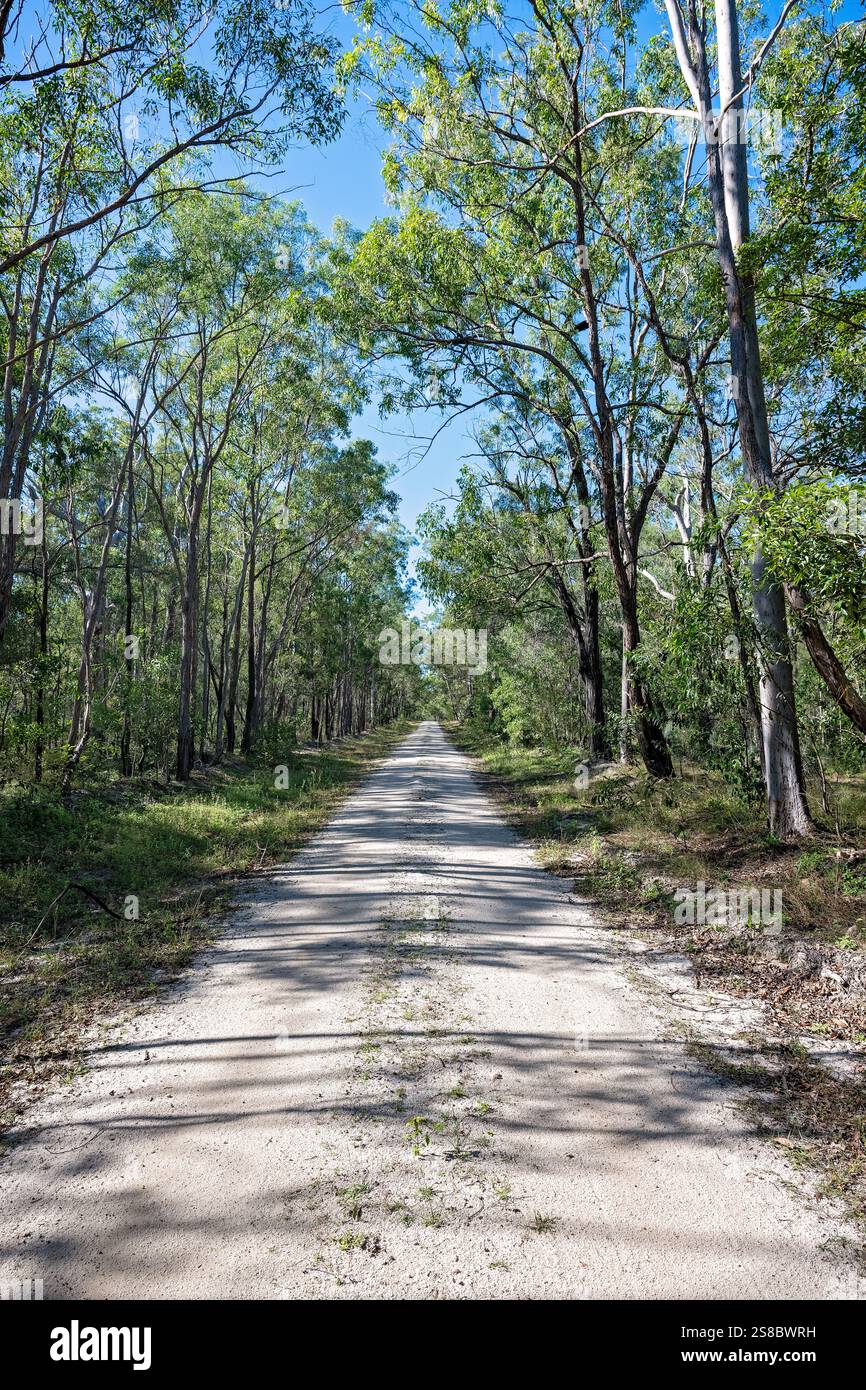 dirt track road through Australian bush countryside, rural remote ...