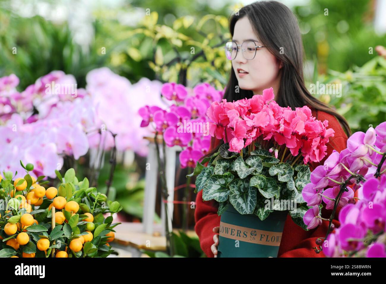 People select Spring Festival flowers in Handan City, north China's ...