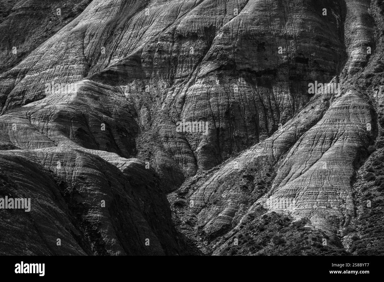 Monochromatic depiction showcasing intricate textures and patterns of ...