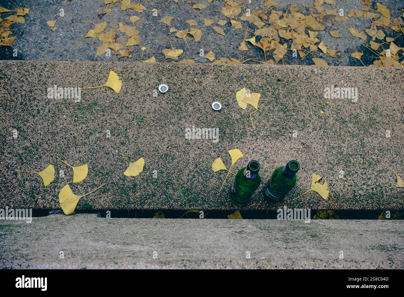 Cremona, Italy - January 15th 2025 Two empty green beer bottles and ...