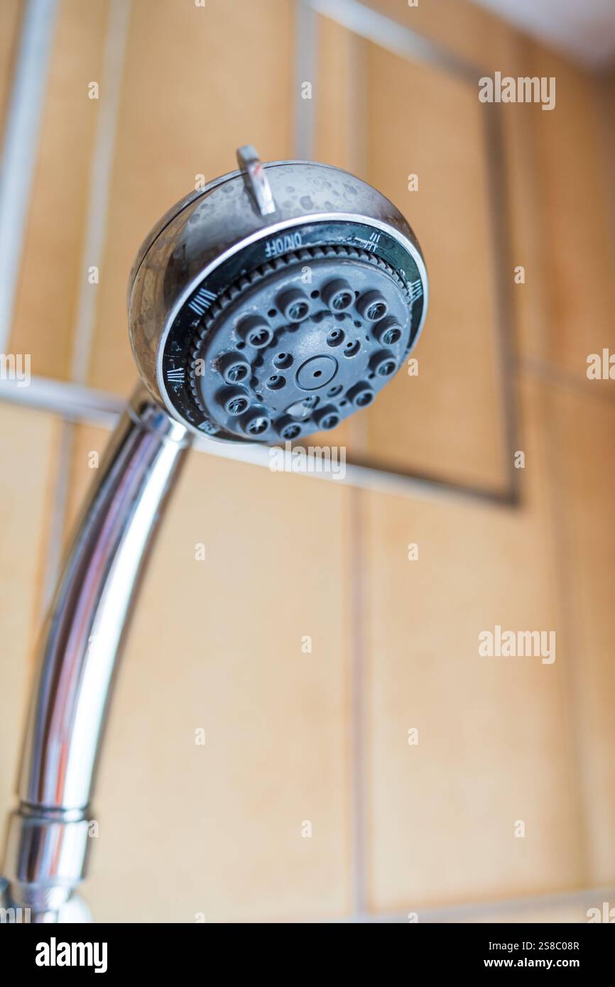 Silver metal shower head and flexible hose hanging inside shower cabin ...