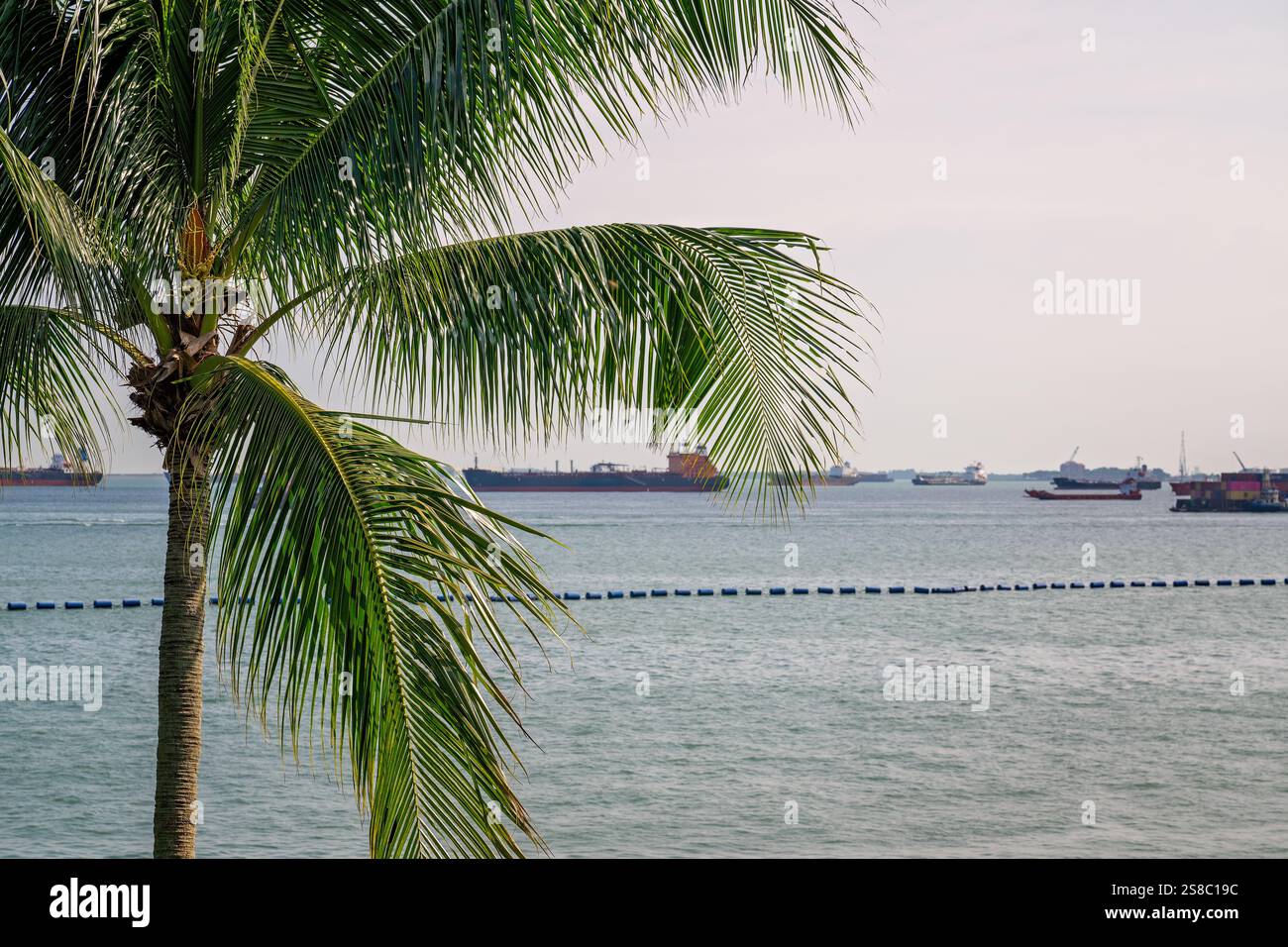 Palawan beach Sentosa Island Singapore, tropical palm tree, ocean sea ...