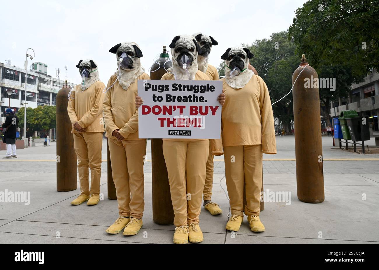 Chandigarh, India. 21st Jan, 2025. CHANDIGARH, INDIA - JANUARY 21 ...